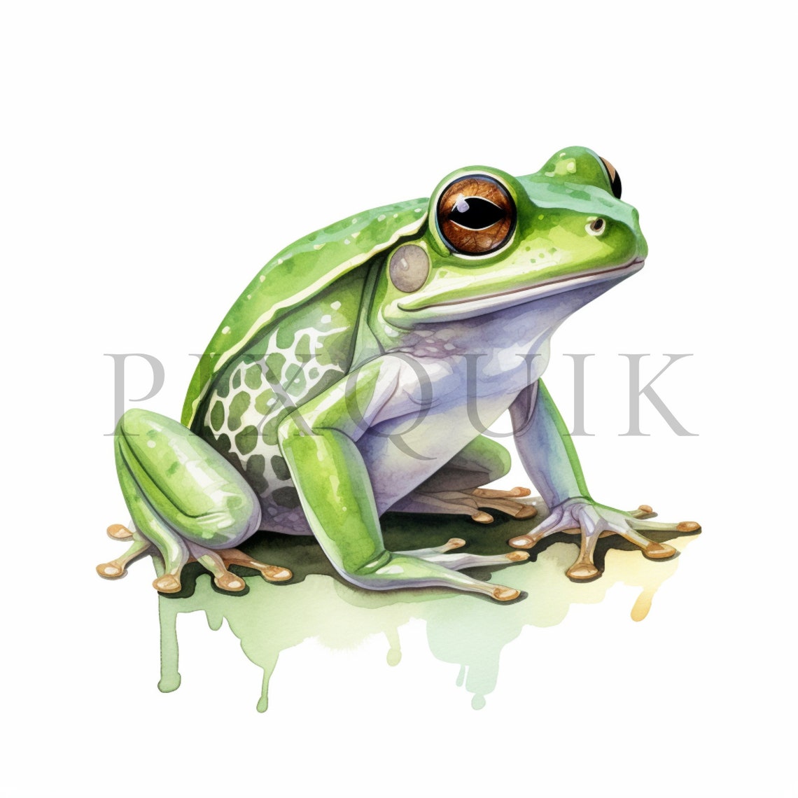 Frog Clipart 10 High Quality Jpgs Digital Download Frog Animal Clipart ...