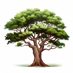 Mahogany Tree Clipart | Nursery Art, Card Making (digital Download) - Etsy