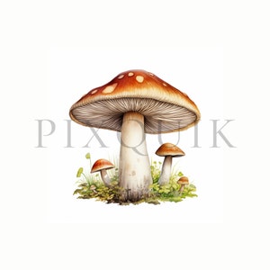 Watercolor Mushroom Clipart | 10 High Quality Jpgs | Instant Digital ...