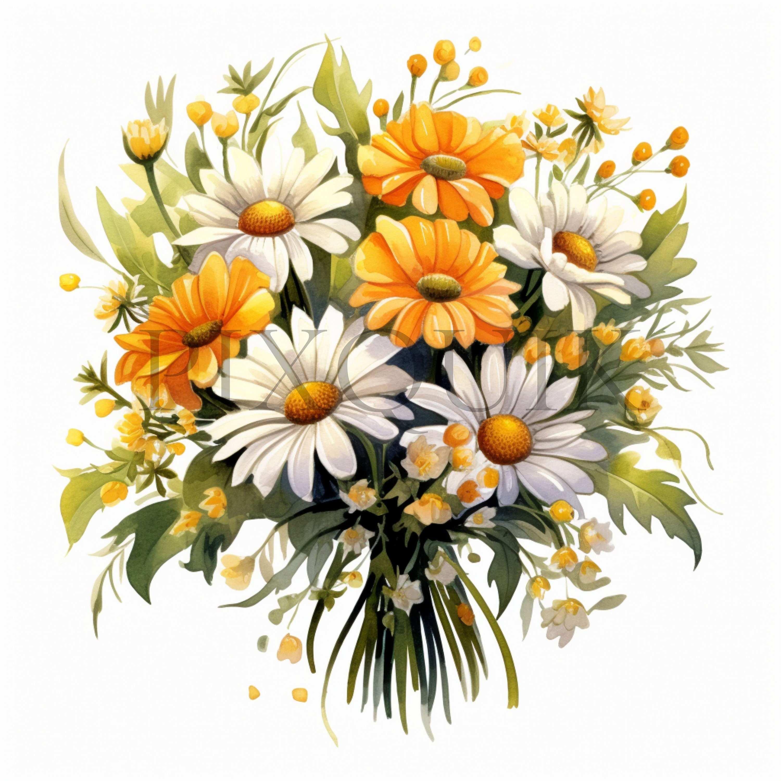Bouquet of Daisies Clipart Set 10 High Quality Jpgs Daisy Flower Art ...