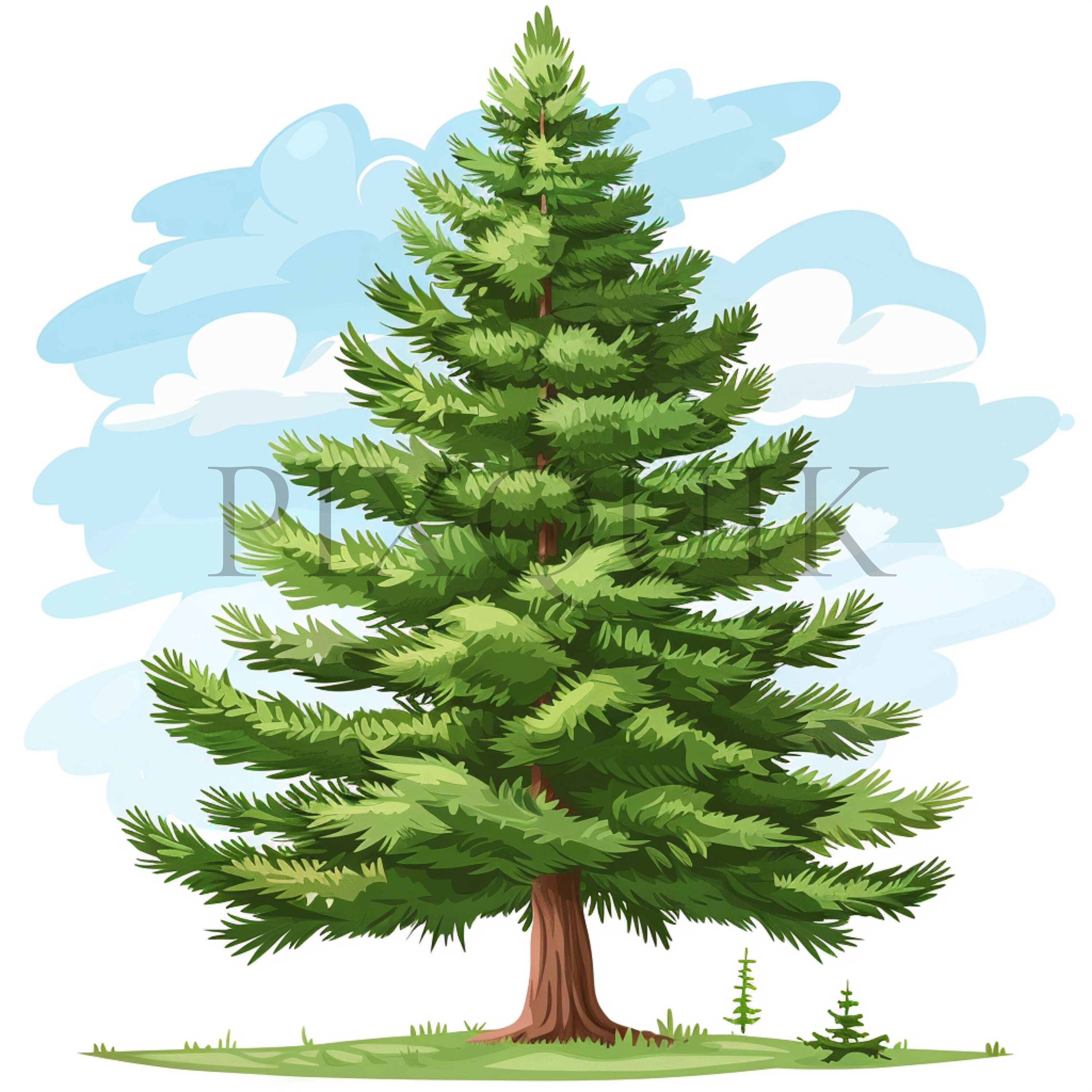 Hemlock Tree Clipart | High-quality Jpgs, Commercial Use (digital ...
