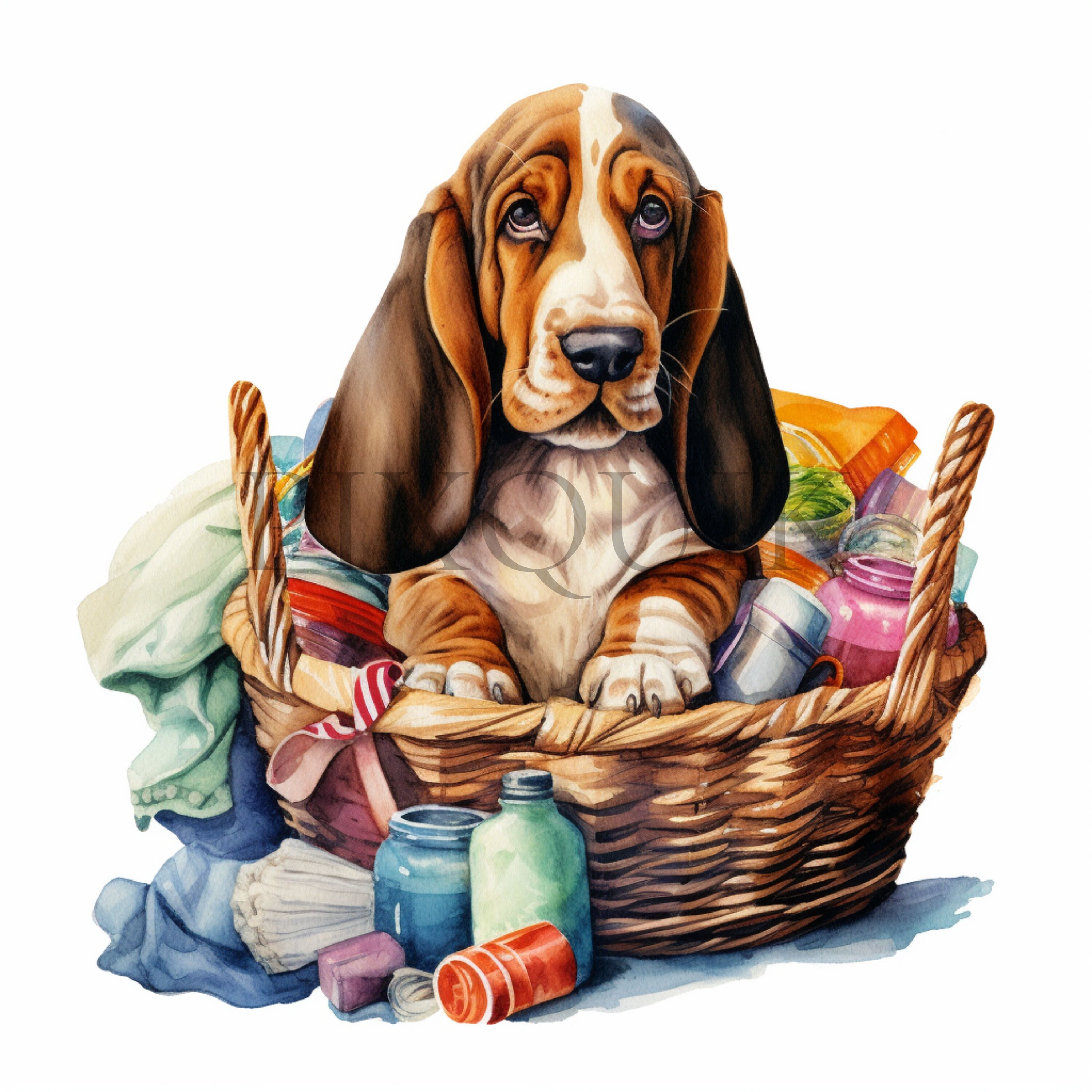 Watercolor Basset Hound Clipart Bundle | Dog Lover Art (10 Jpgs) - Etsy