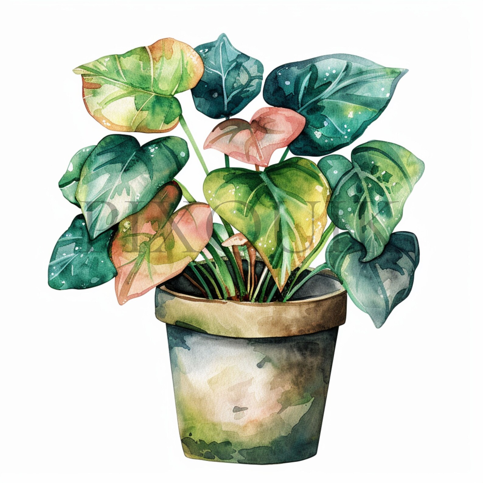 Potted Plant Watercolor Clipart | Botanical Illustration (JPG) - Etsy