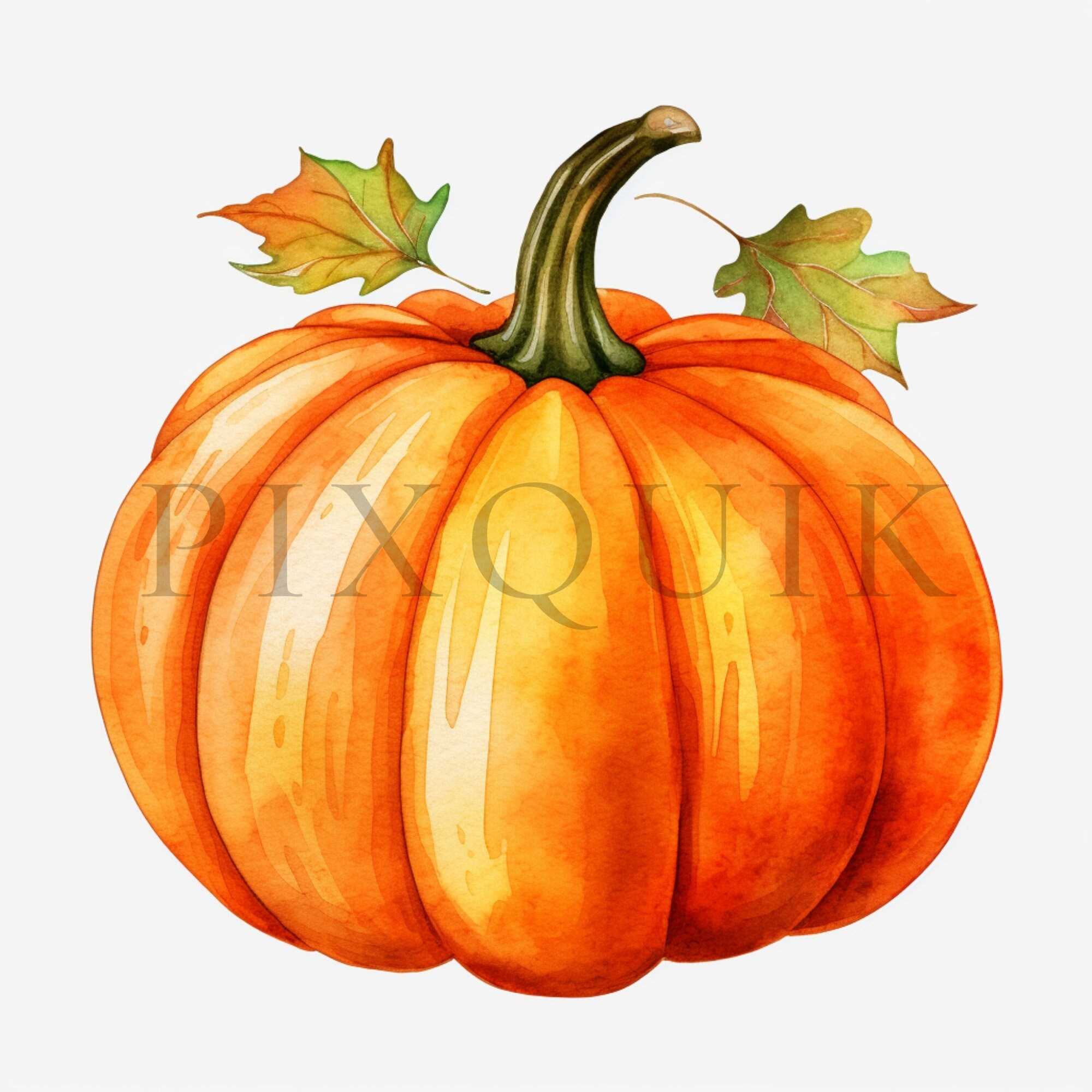 Autumn Pumpkin Clipart | Fall Harvest JPG Images (digital Download) - Etsy