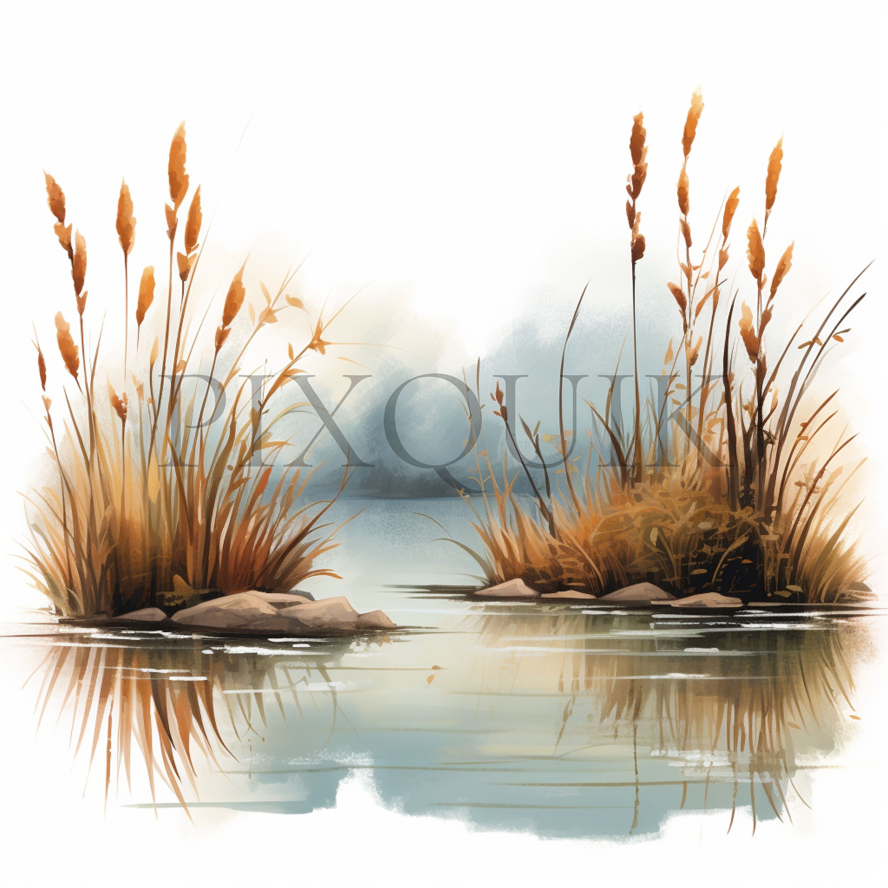 Cattails and Reeds in Water Pond Clipart 10 High Quality JPG commercial ...