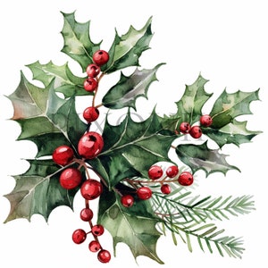 Festive Christmas Plant Clipart | 10 High Quality Jpgs | Holiday Flora ...
