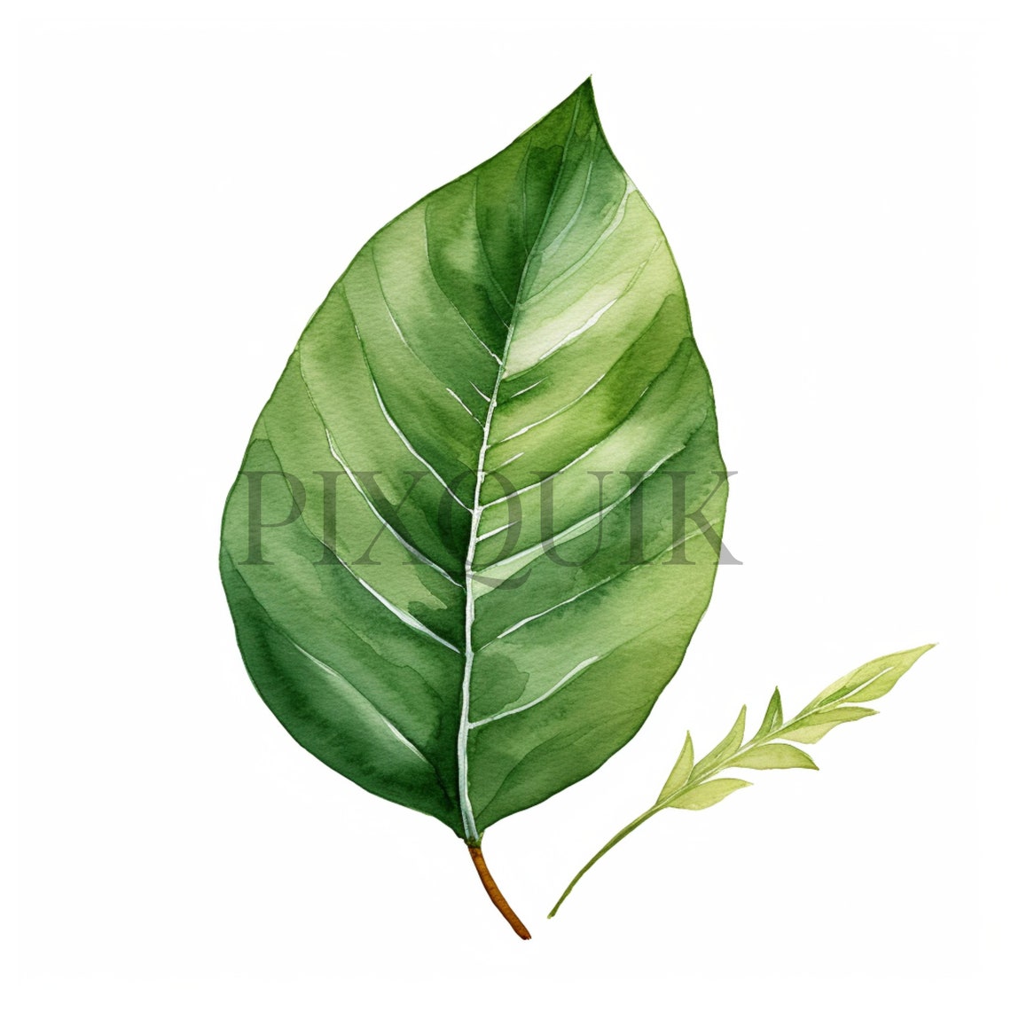 Watercolor Leaf Clipart | Hyper-realistic Botanical Art (digital ...