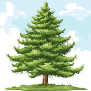 Hemlock Tree Clipart | High-quality Jpgs, Commercial Use (digital ...