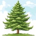 Hemlock Tree Clipart | High-quality Jpgs, Commercial Use (digital ...