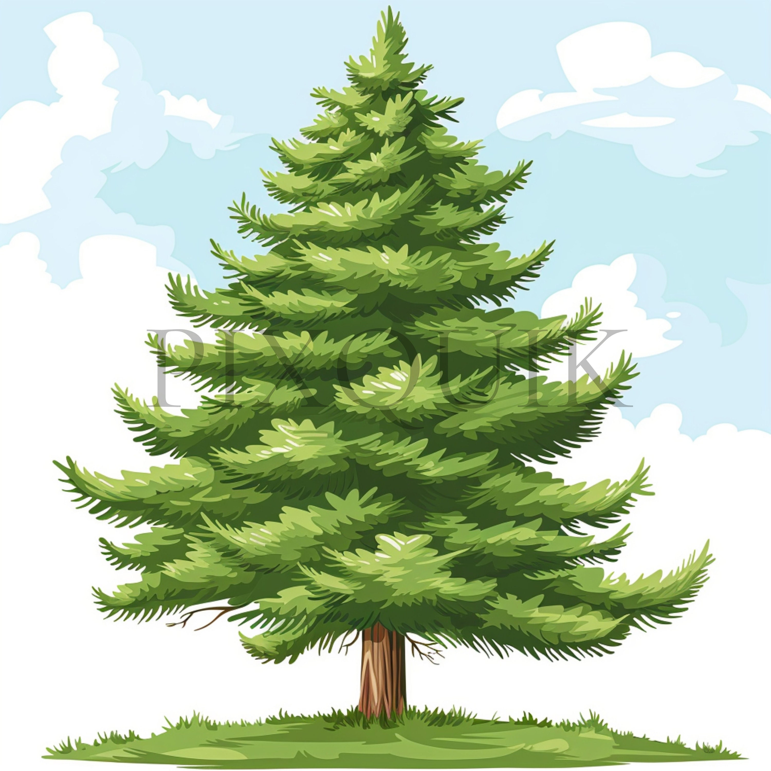 Hemlock Tree Clipart | High-quality Jpgs, Commercial Use (digital ...