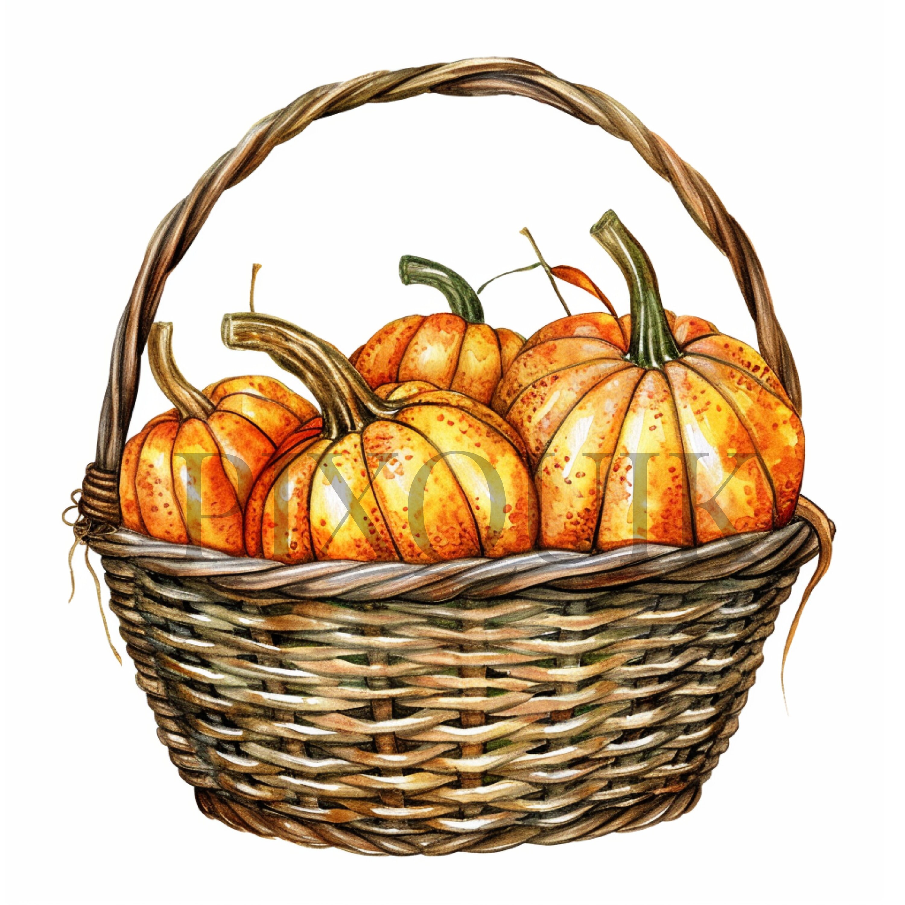Watercolor Basket With Pumpkins Clipart 10 High-quality JPEG Images ...