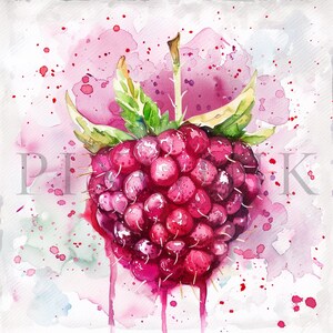Watercolor Raspberry Clipart | 11 High Quality Jpgs | Digital Download ...