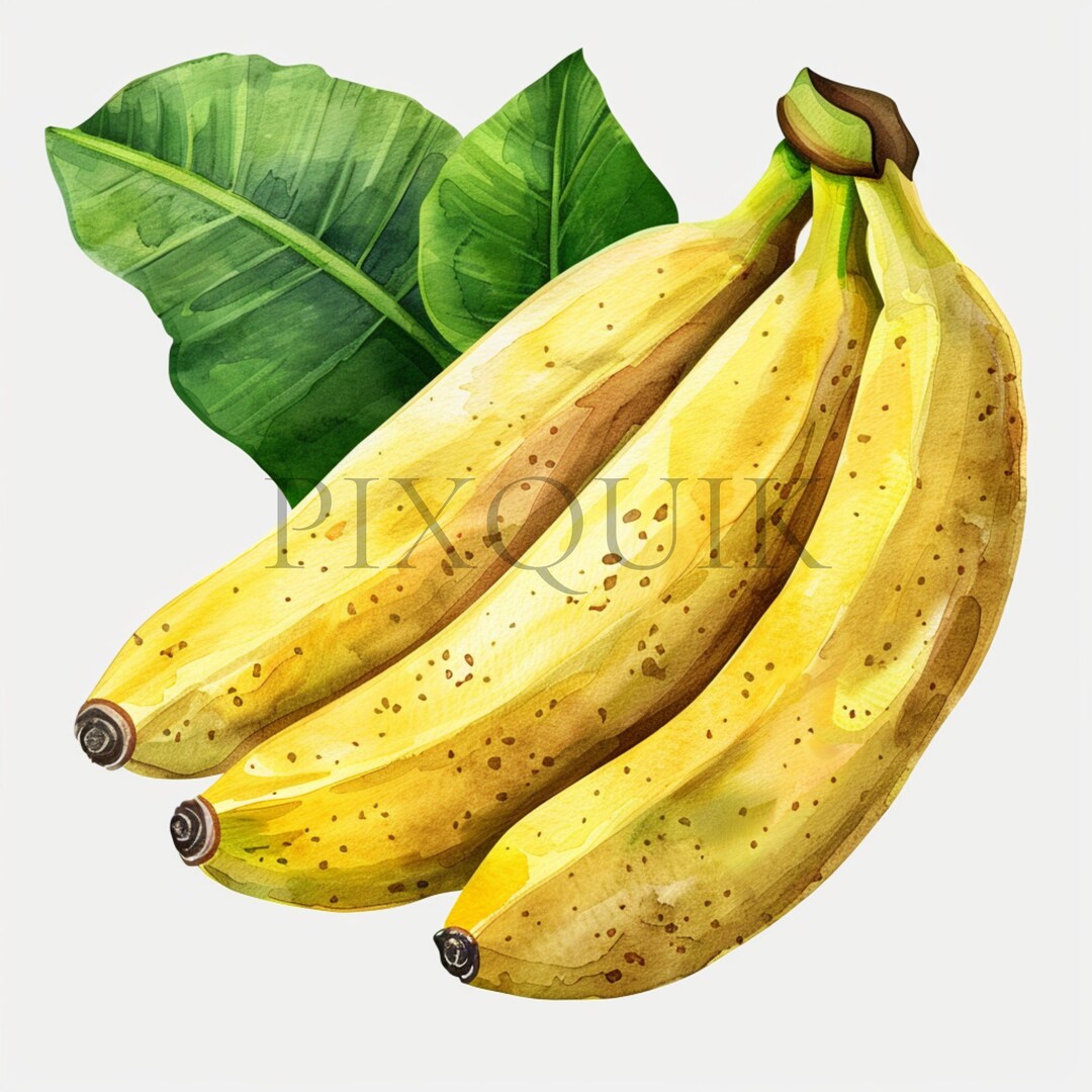 Watercolor Banana Clipart | Tropical Fruit Illustration (commercial Use ...