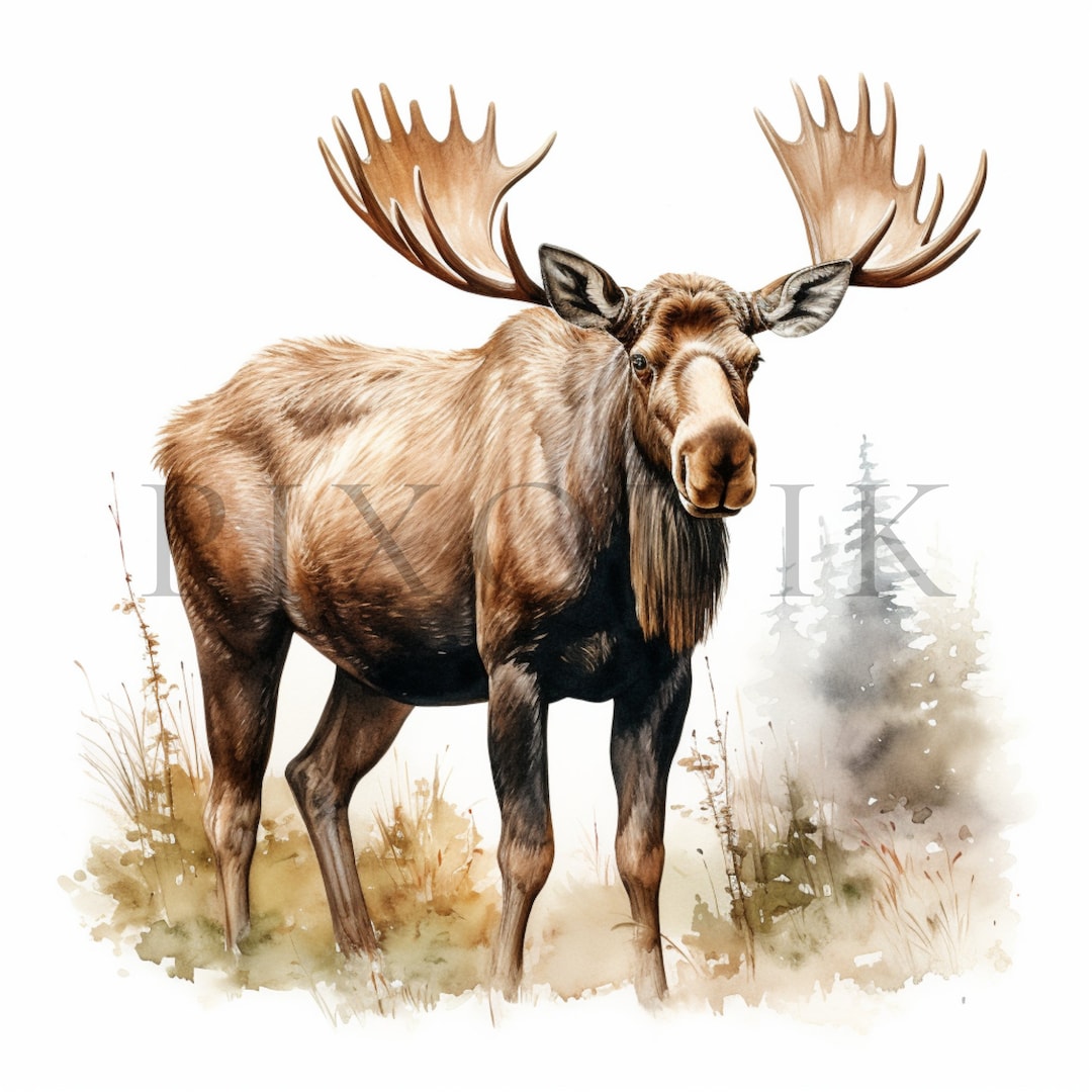Moose Clipart | Moose Vector | 10 High Quality Jpgs | Animal Clipart ...