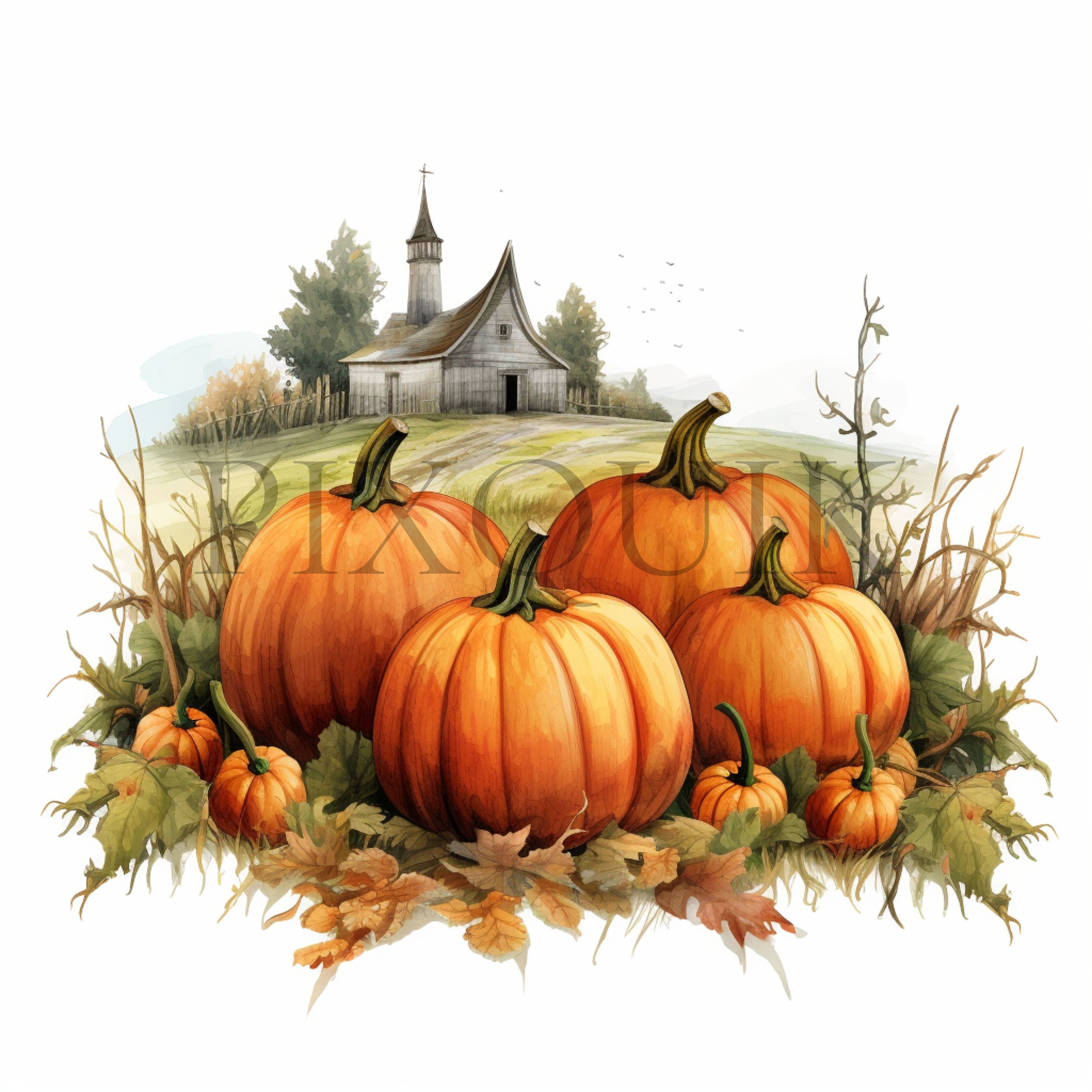 Pumpkin Patch Clipart | Autumn Pumpkin Patch | 10 High Quality JPG ...