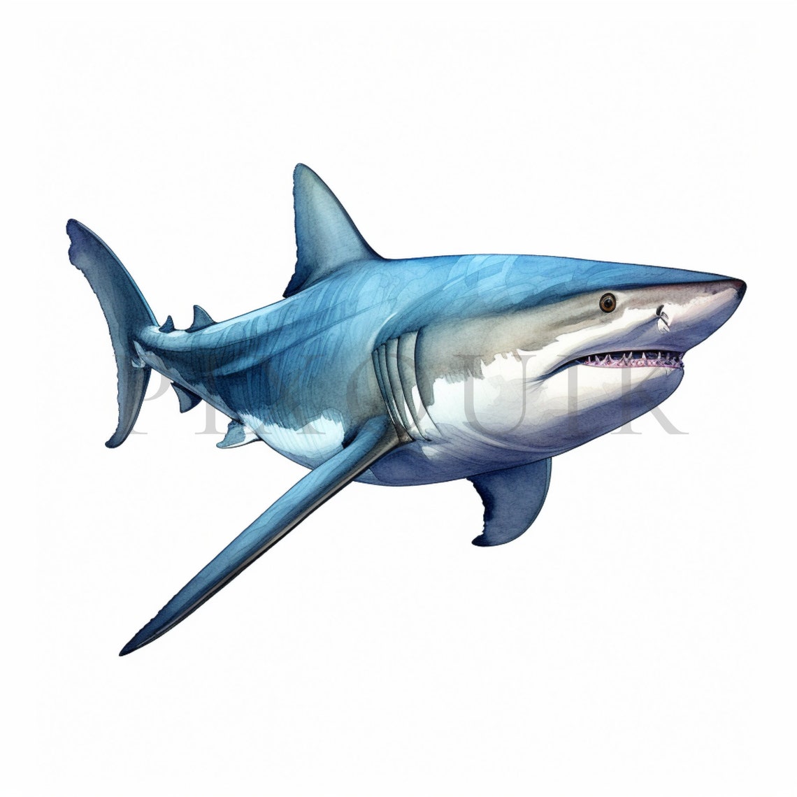 Watercolor Shark Clipart Set – Ocean Animal Graphics (digital Download ...