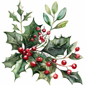 Christmas Holly Clipart | Festive Holiday Flora Art (10 Jpgs) - Etsy Canada