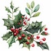 Festive Christmas Plant Clipart | 10 High Quality Jpgs | Holiday Flora ...