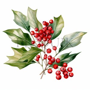 Festive Christmas Plant Clipart 10 High Quality Jpgs Holiday Flora Art ...