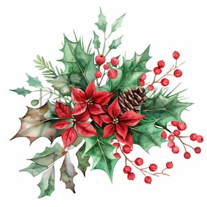 Festive Christmas Plant Clipart | 10 High Quality Jpgs | Holiday Flora ...