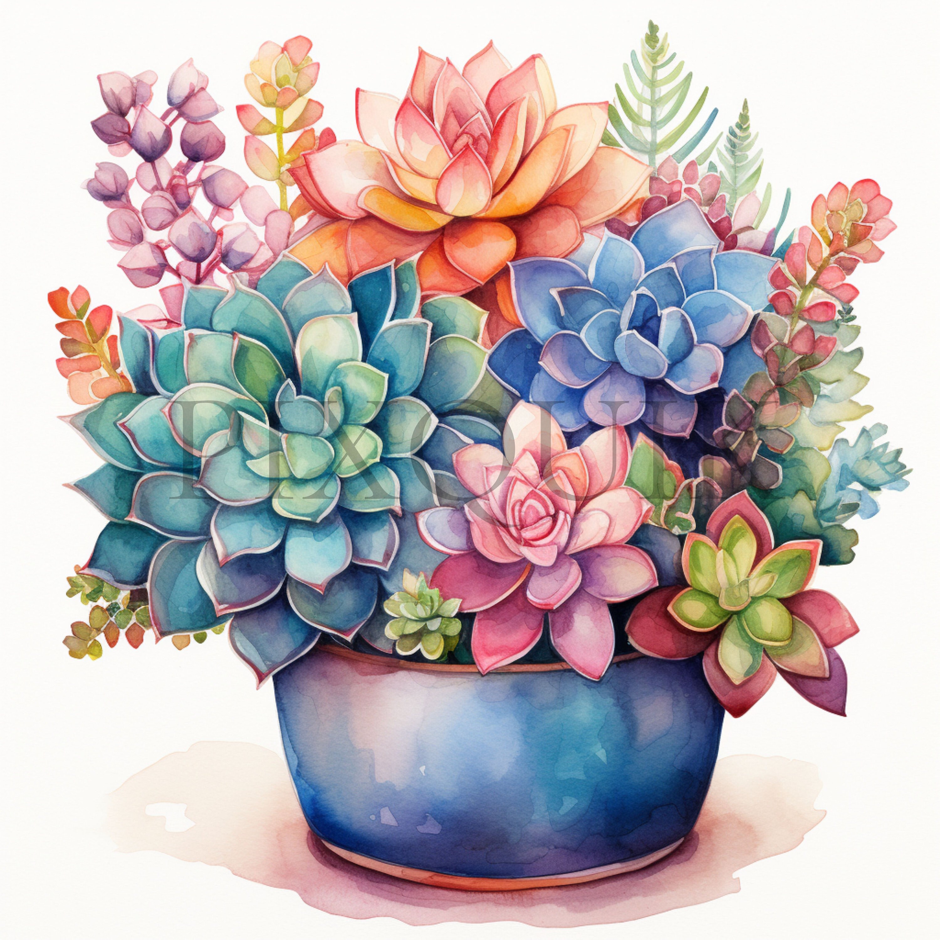 Potted Succulents Clipart | High-resolution JPG Art (digital Download ...
