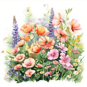 Garden Flower Clip Art | 10 High Quality Jpgs | Wild Flowers | Floral ...