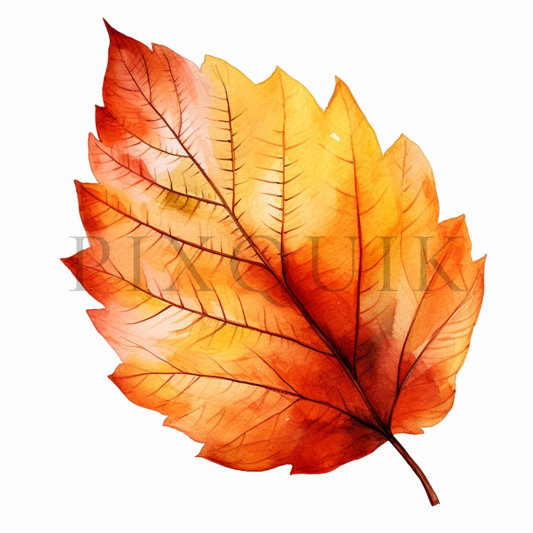 Autumn Leaf Clipart | 10 High Quality Jpgs | Digital Download | Fall ...