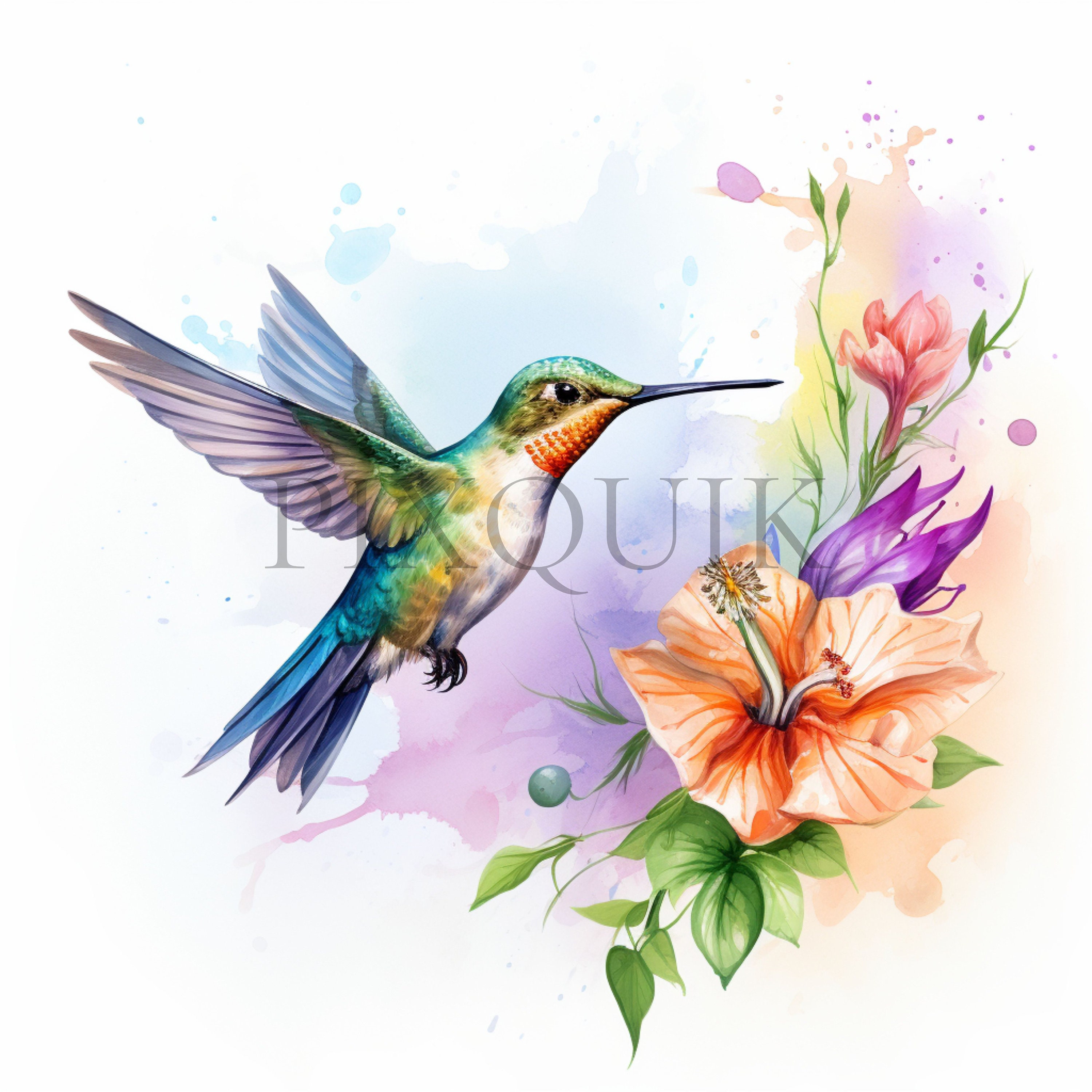 Watercolor Hummingbird Clipart Bundle 10 High Quality Jpgs Bird Clipart ...