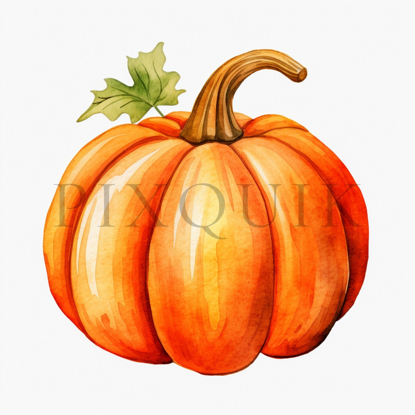 Autumn Pumpkin Clipart | Fall Harvest JPG Images (digital Download) - Etsy