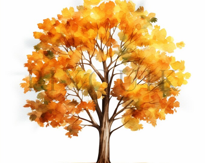 Tree Clip Art - Fall Trees, Autumn Tree Clipart, Maple Tree Graphic ...