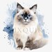 Birman Cat Watercolor Clipart | 10 Jpgs, Commercial Use (digital ...