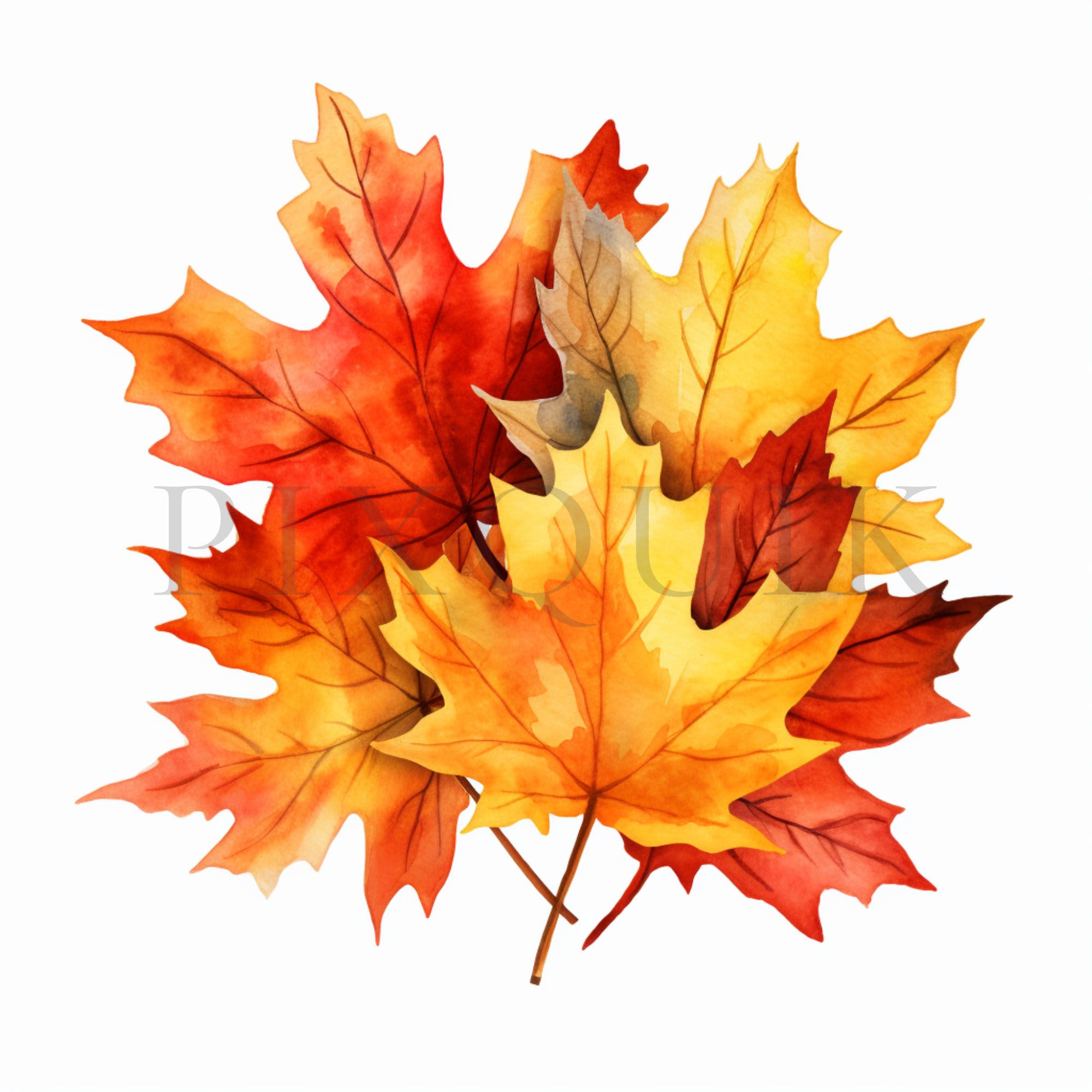 Autumn Leaves Clipart 10 High Quality Jpgs Digital Download Autumn ...
