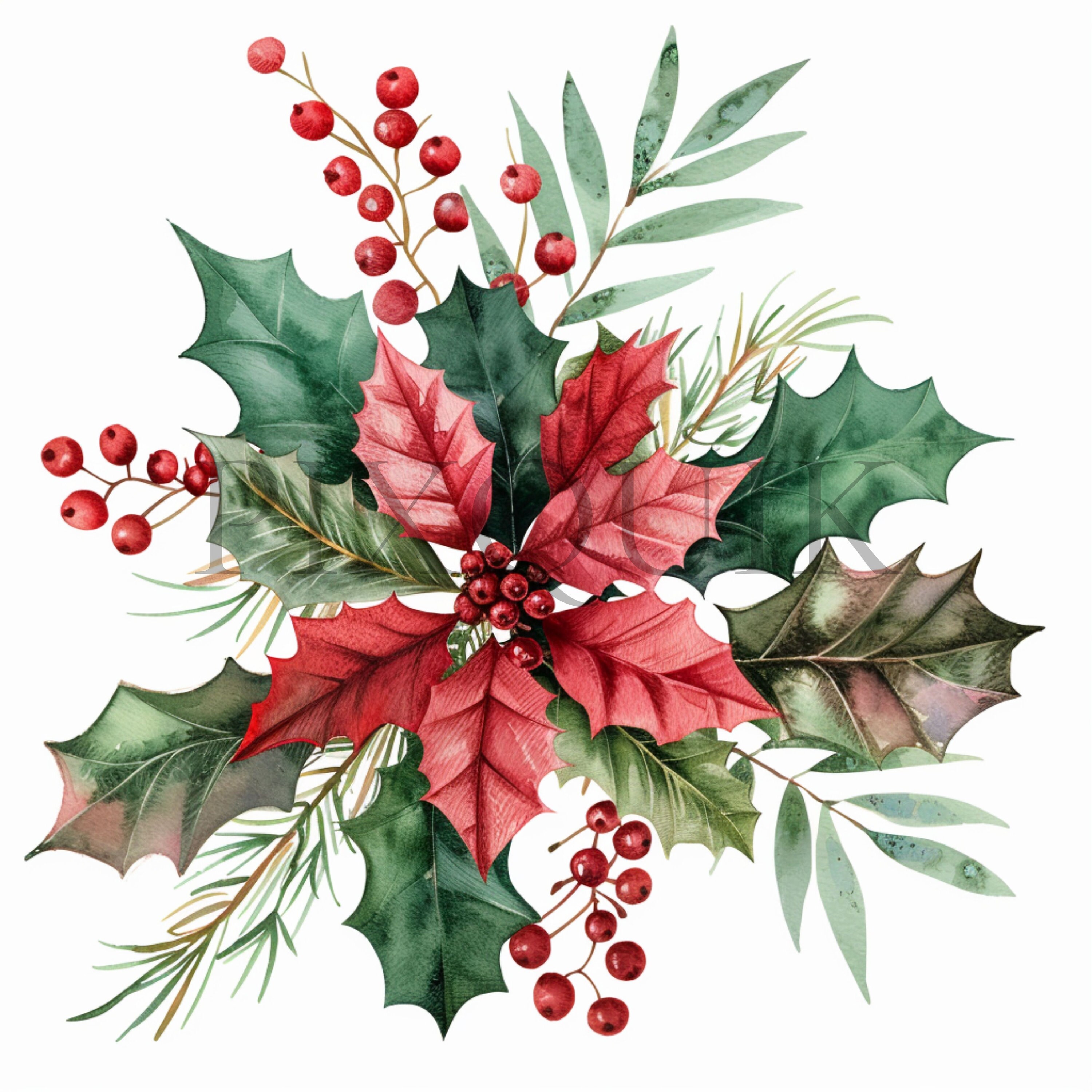 Christmas Holly Clipart | Festive Holiday Flora Art (10 Jpgs) - Etsy