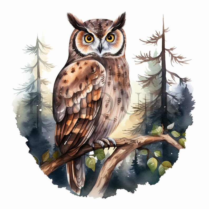 Owl Clipart Set | Woodland Animal Jpgs (digital Download) - Etsy