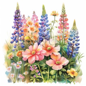 Wildflower Clipart Set | Botanical Garden Illustrations (10 Jpgs) - Etsy