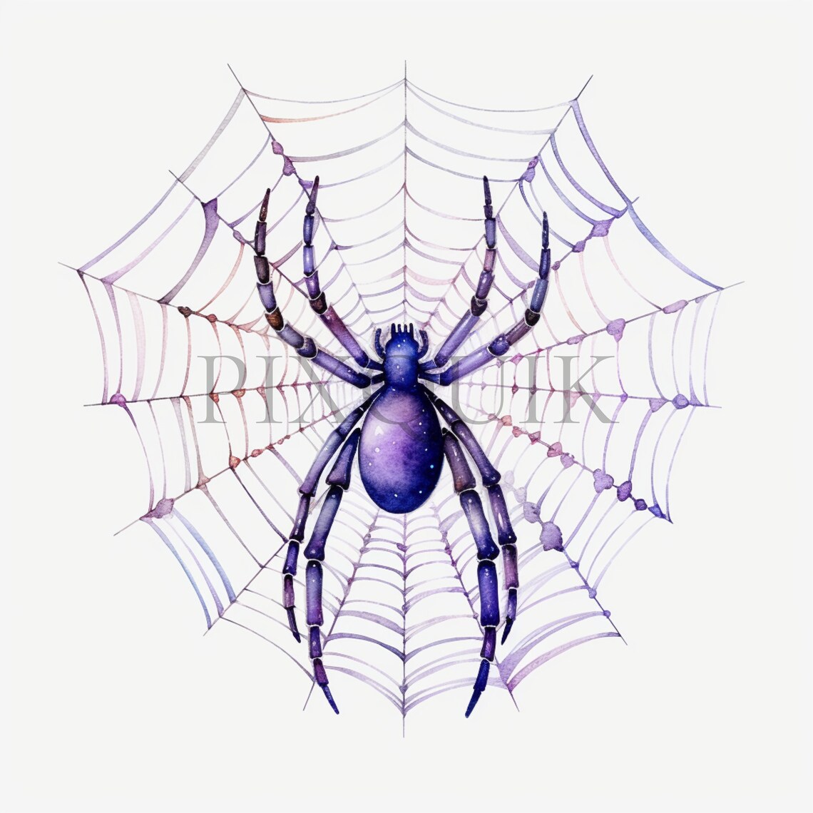 Watercolor Spiderweb Clipart 10 High Quality Jpgs Instant Digital ...