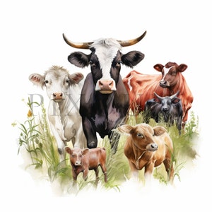 Farm Animals Clipart | Watercolor Farmyard Illustration (digital ...