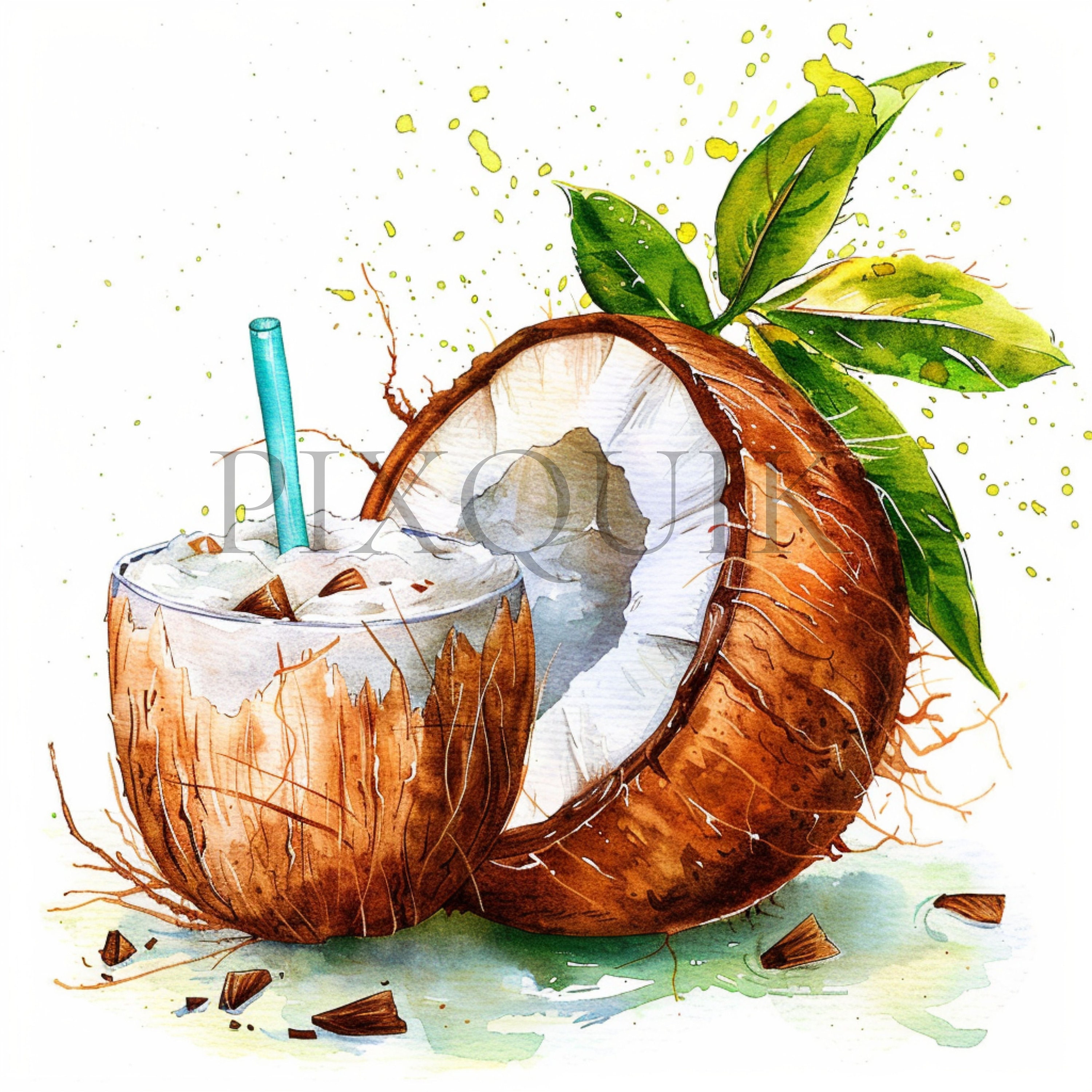 Watercolor Coconut Drink Clipart | 10 High-quality Jpg's | Summer ...