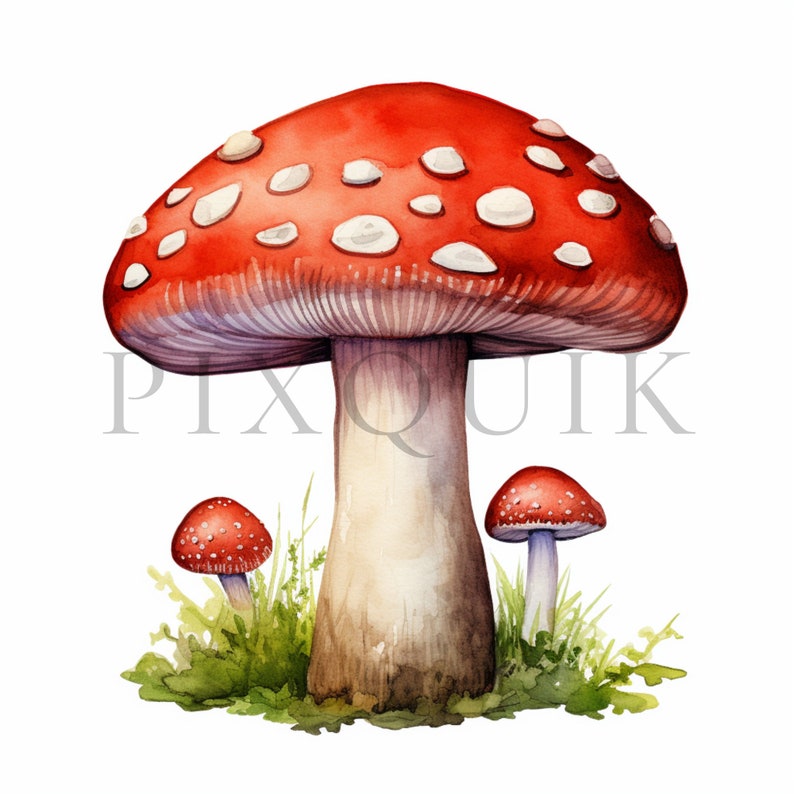 Mushroom Clipart | Watercolor Toadstool Art, Fall Nature (digital ...