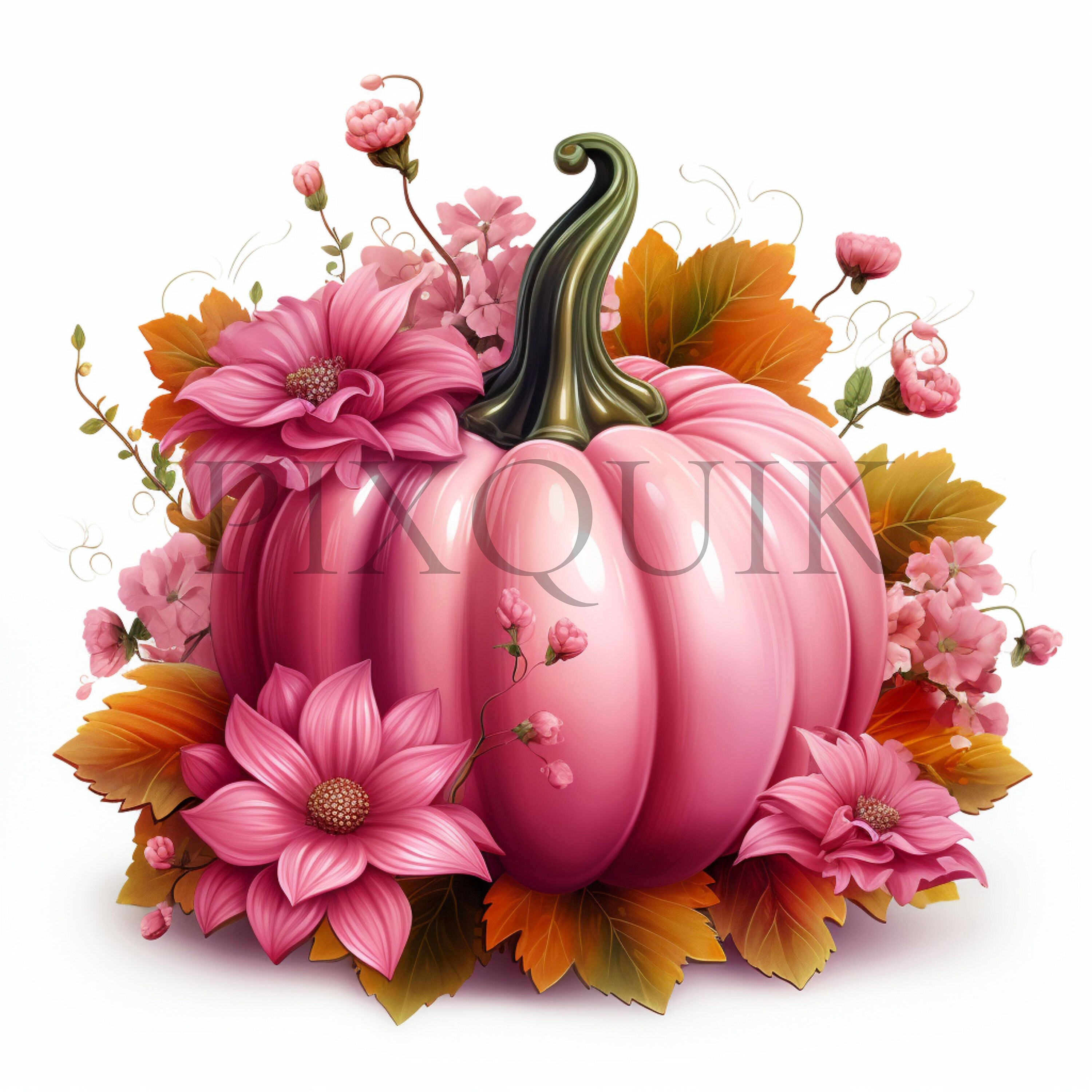 Pink Pumpkins Clipart 10 High Quality JPG Pink Pumpkins Pumpkin Vector ...