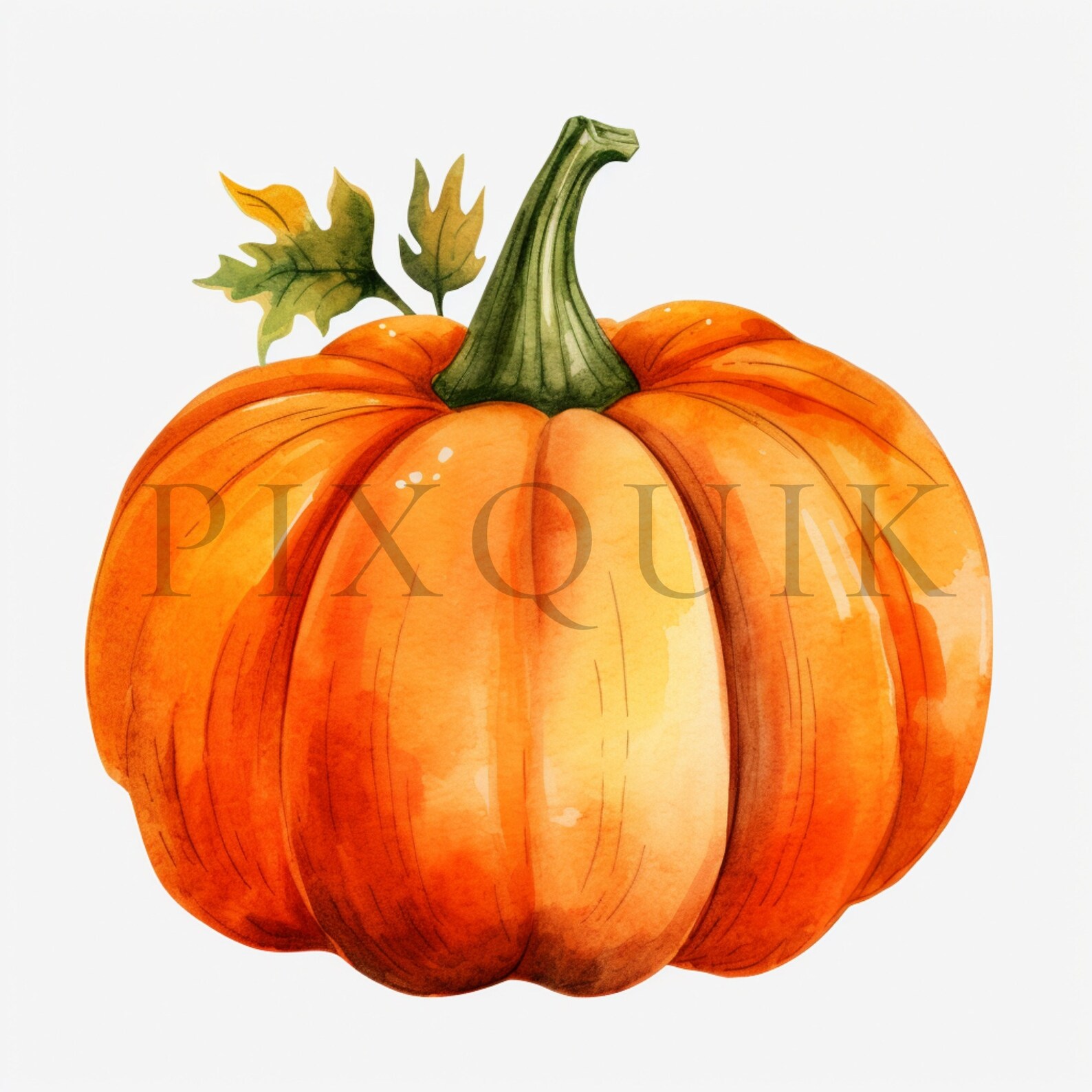 Autumn Pumpkin Clipart | Fall Harvest JPG Images (digital Download) - Etsy