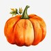Autumn Pumpkin Clipart 10 High Quality Jpgs Instant Digital Download ...