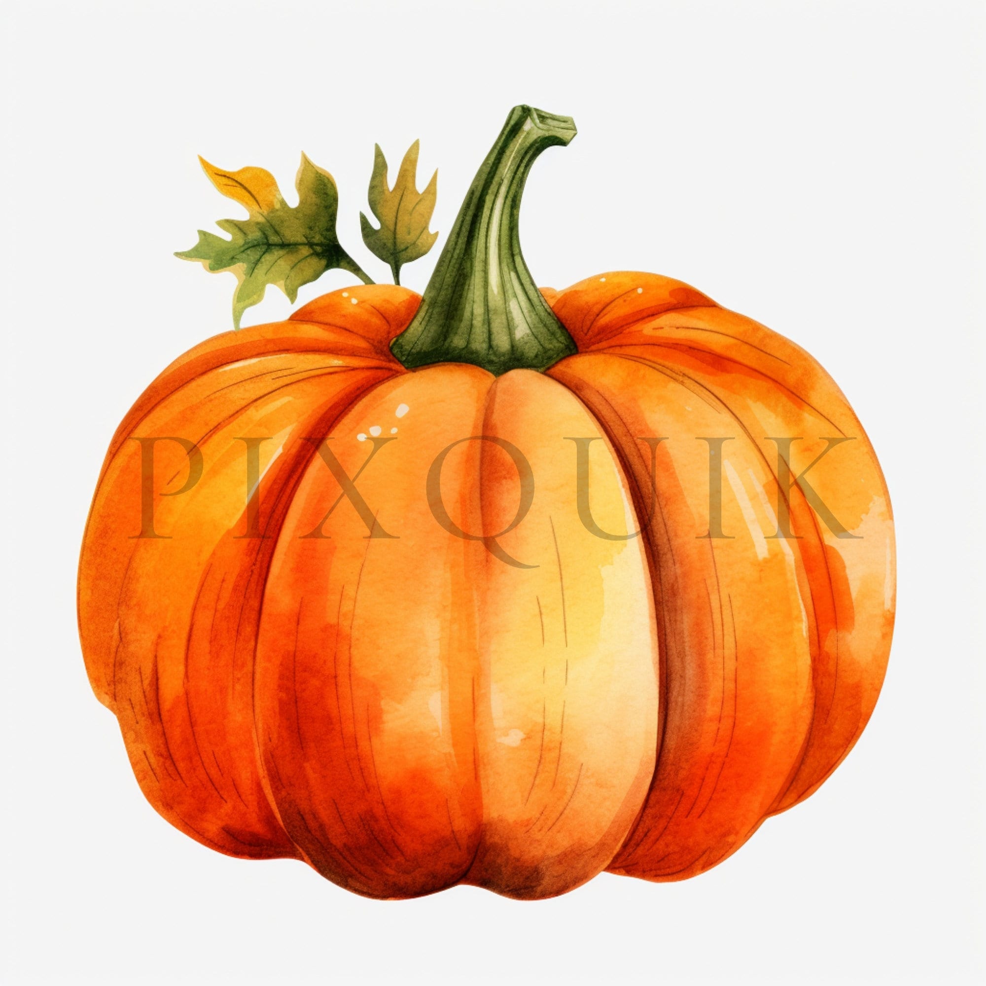 Autumn Pumpkin Clipart | Fall Harvest JPG Images (digital Download) - Etsy