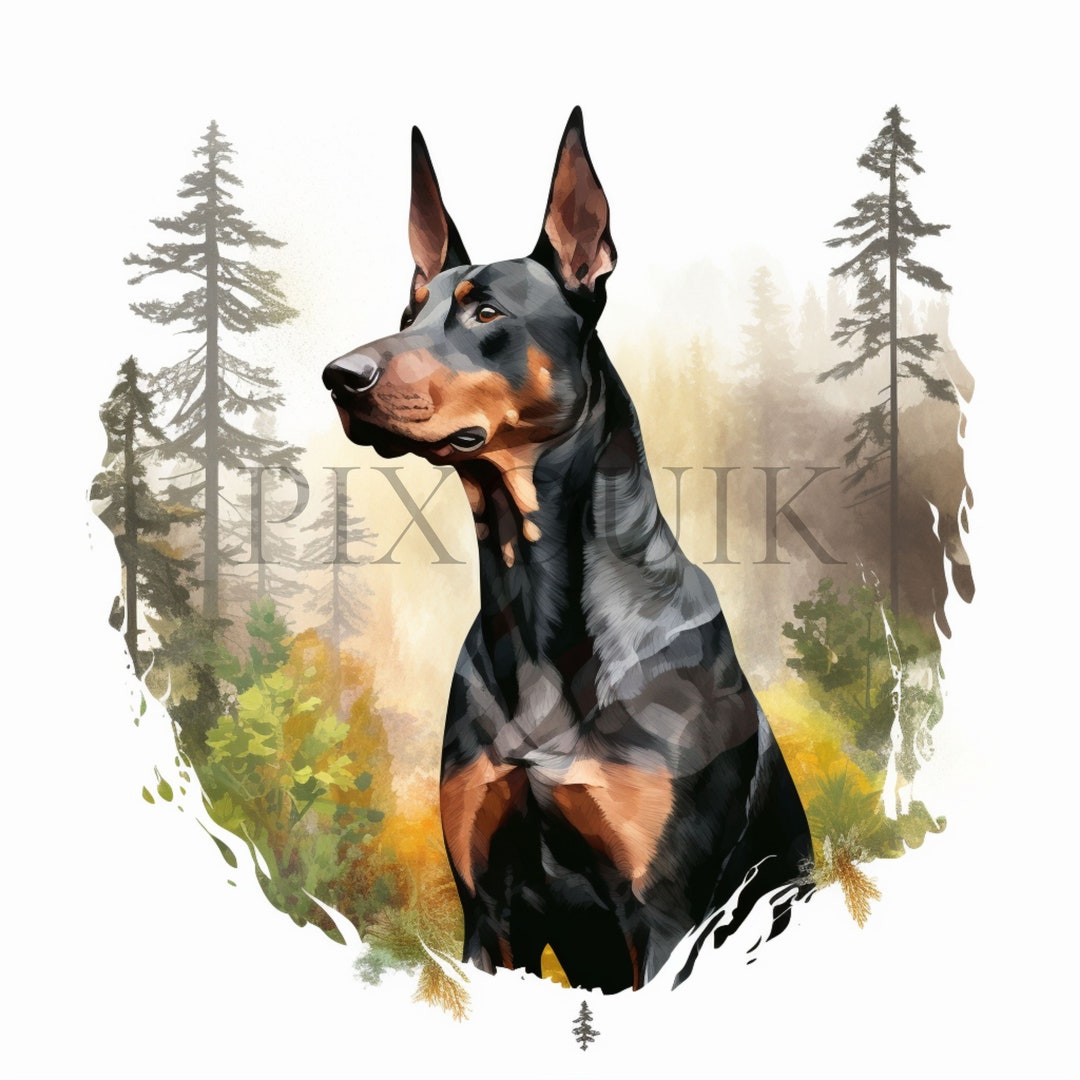 Doberman Pinscher Clipart | 10 High Quality Jpgs | Digital Download ...