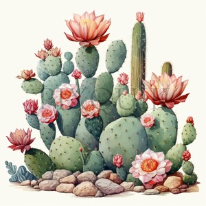 Vintage Blooming Cactus Clipart | 10 High Quality Jpgs | Retro Cactus ...
