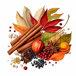 Autumn Spice Clipart | Pumpkin, Cinnamon, Anise (digital Download) - Etsy