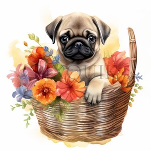 Pug Clipart | 10 High Quality Jpgs | Puppy Clipart | Cute Pug With ...