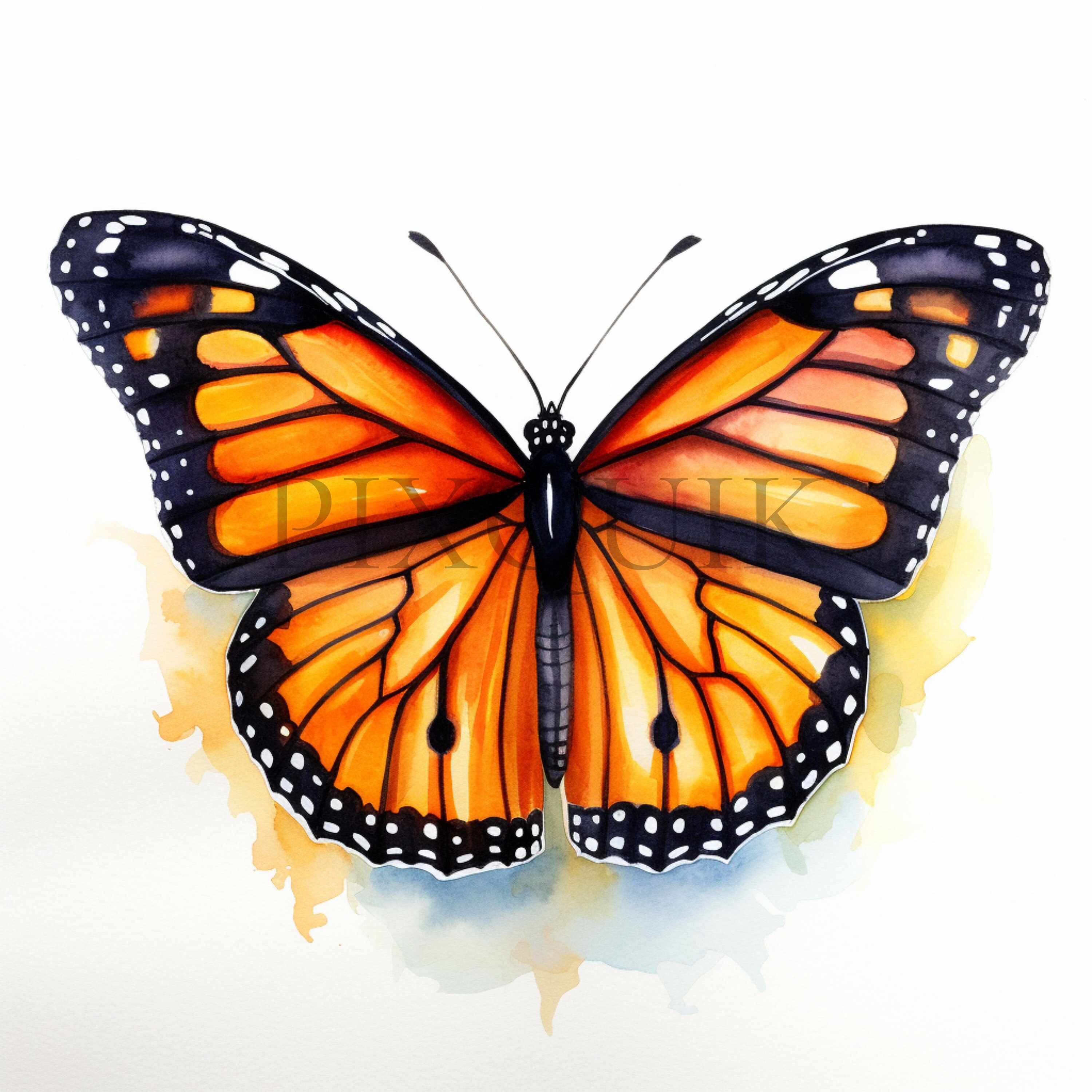 Watercolor Monarch Clipart | 10 High Quality Jpgs | Monarch Butterfly ...