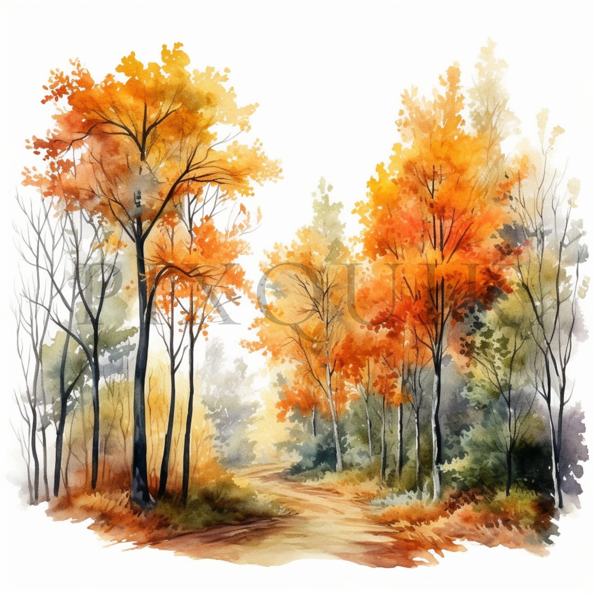 Autumn Forest Watercolor Clipart | Fall Nature Jpgs (digital Download ...