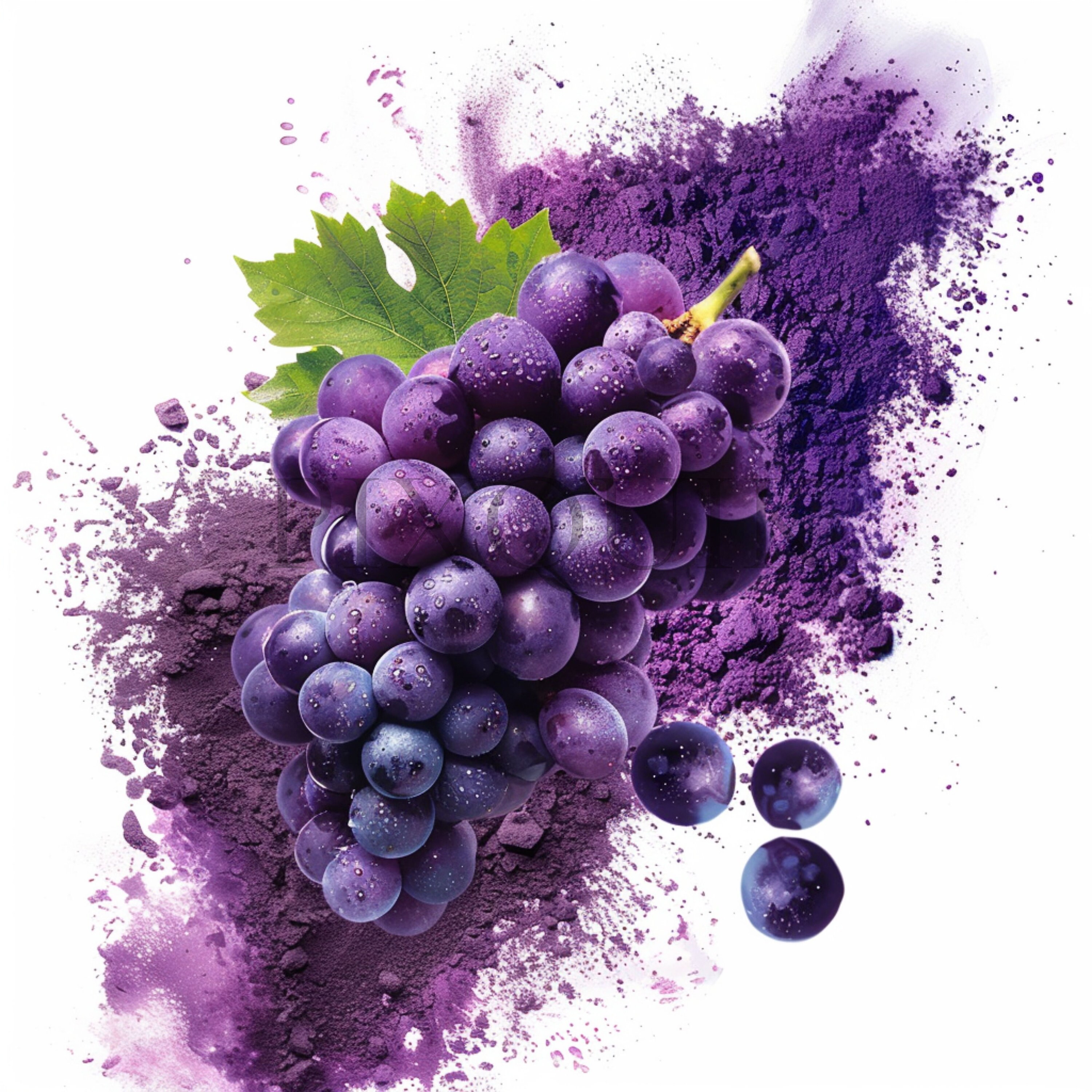 Watercolor Grapes Clipart | 10 Jpgs, Commercial Use (instant Download ...